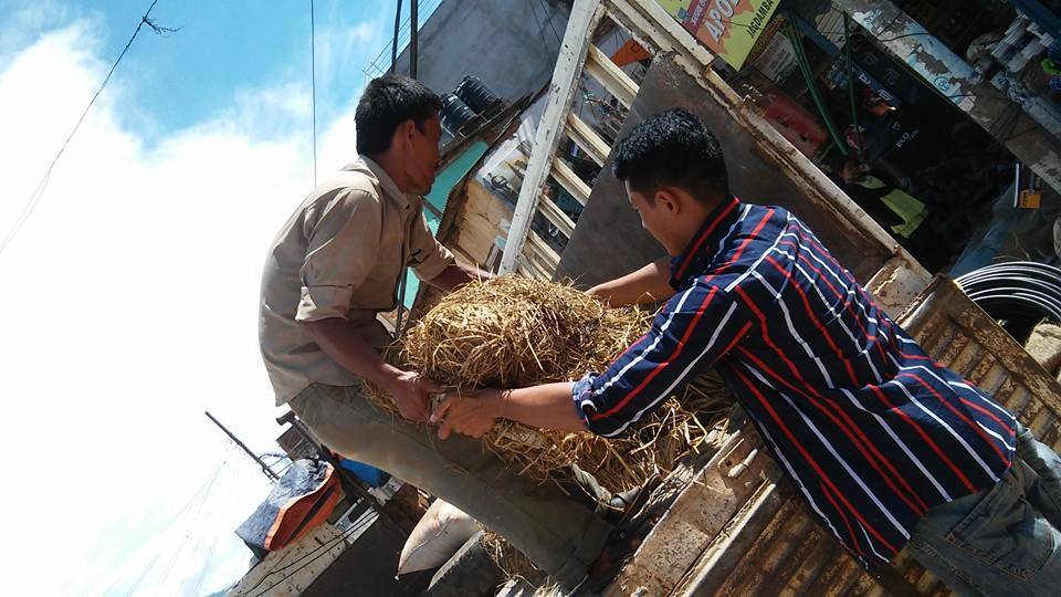 Nepal EarthQuake « Newah Organization Of America